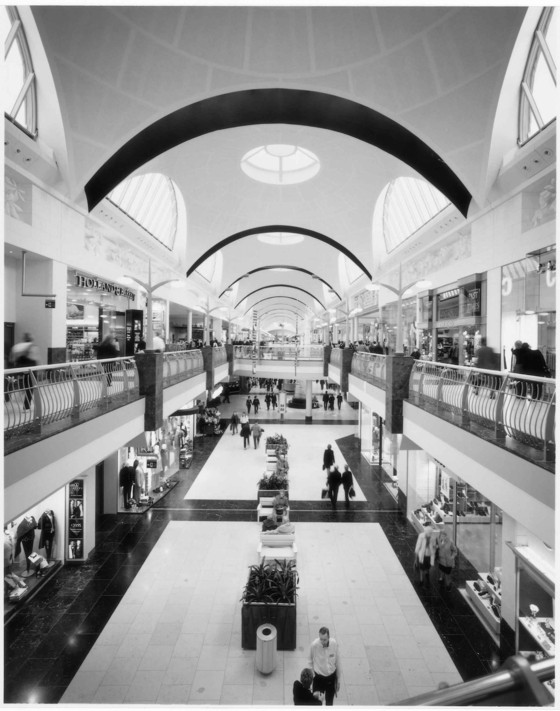 Inside the Blue Whale - Harvard Design Magazine