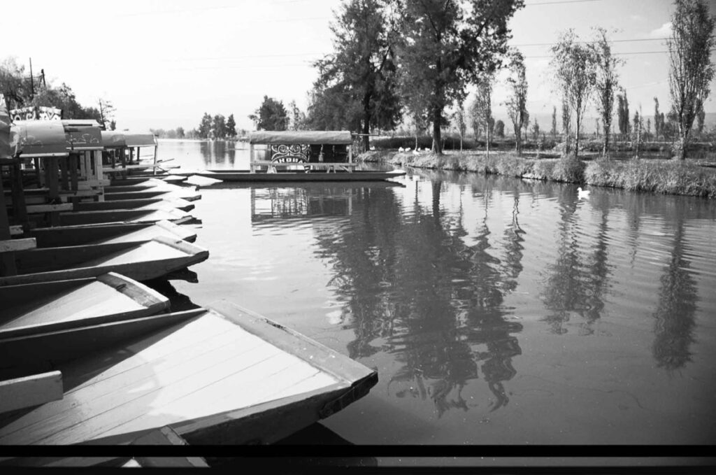 A Word for Landscape Architecture - Harvard Design Magazine