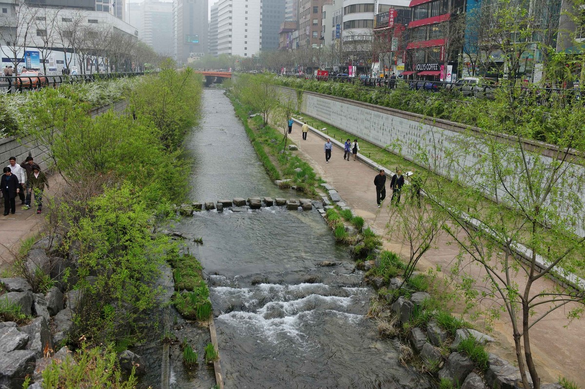 Immanent Landscape - Harvard Design Magazine