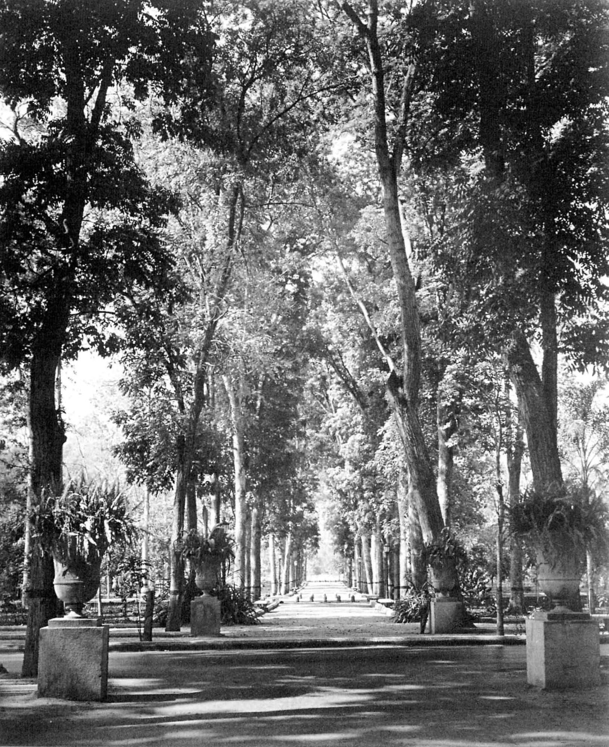 Latin American Geographies: A Glance over an Immense Landscape ...