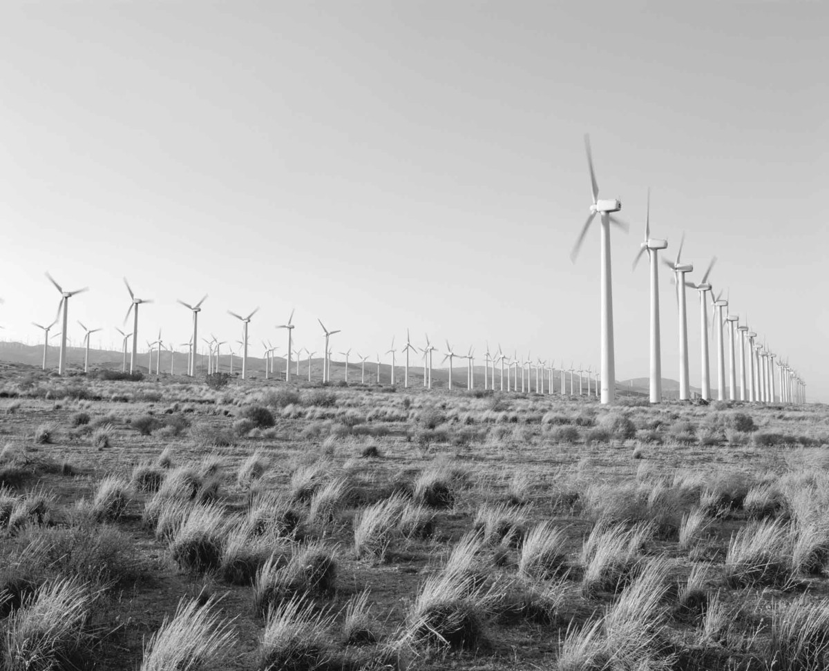 Green World, Gray Heart?: The Promise and the Reality of Landscape ...